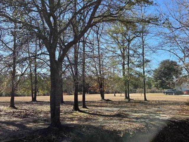 59 Fiddlers Marsh No Hoa Loop Lot Cypress, Georgetown, SC 29440