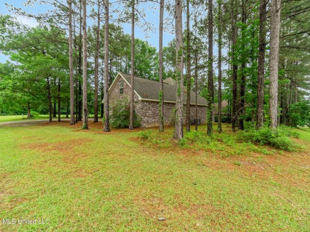59 Lamplighter Lane