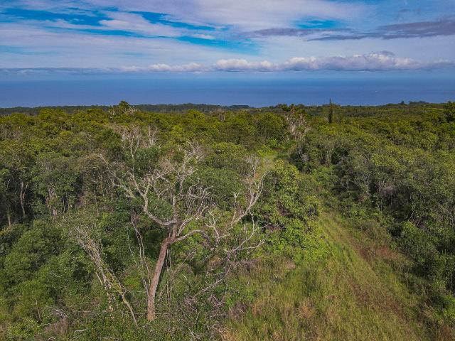 59 Lot 59 a, Uppr MAULUA, Laupahoehoe, HI 96764 | MLS #726643