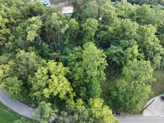 59 Observatory Avenue