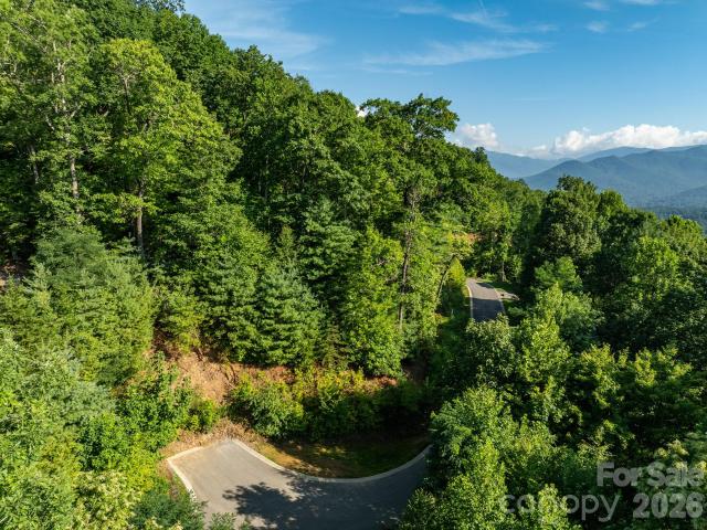 59 Old Greybeard Loop