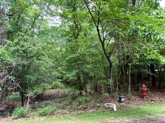 59 S Pine Harbour Dr, Coldspring, TX 77331