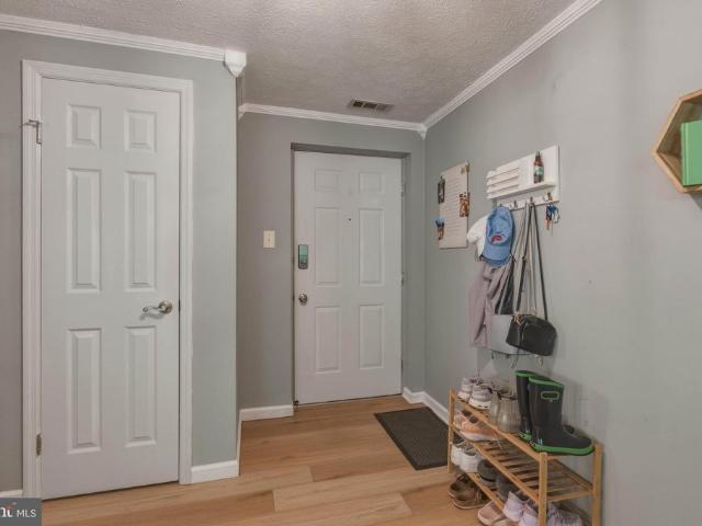 59 Sweetfern Court