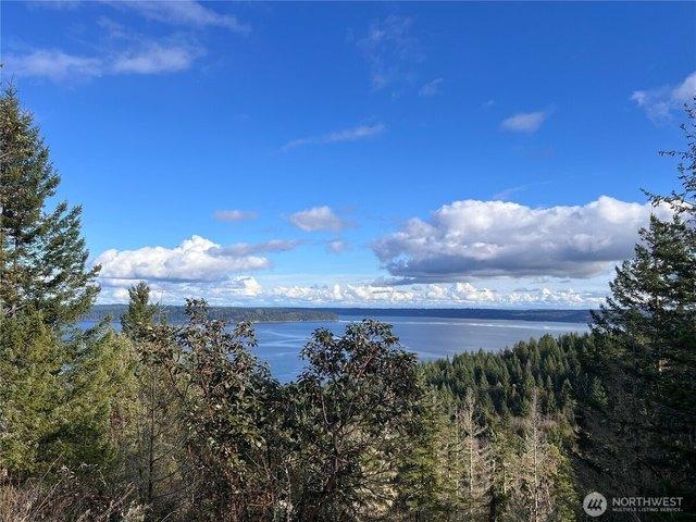59X Moose Mountain Rd, Brinnon, WA 98320