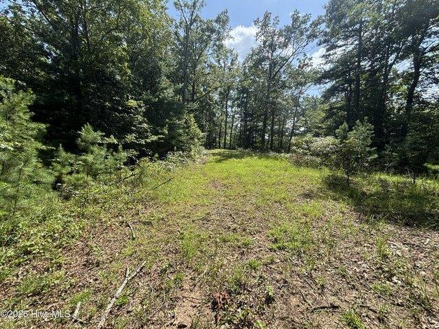 5 Majestic Mountain Trl Lot 5, Murphy, NC 28906
