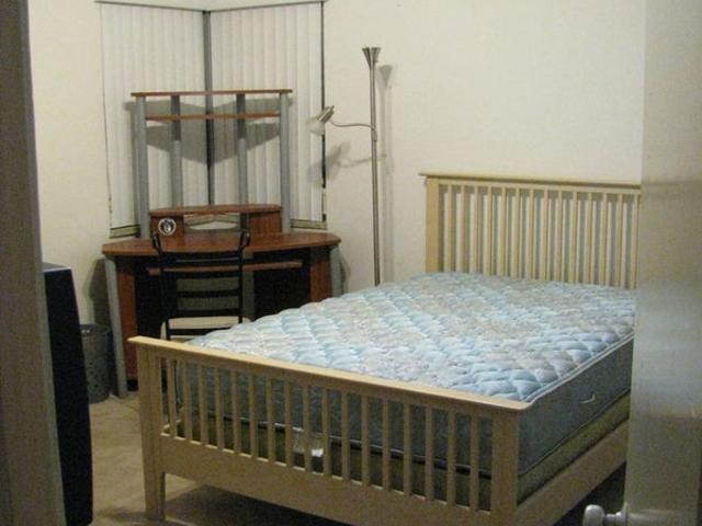 Thriving house, great chill guys, epic Miami life