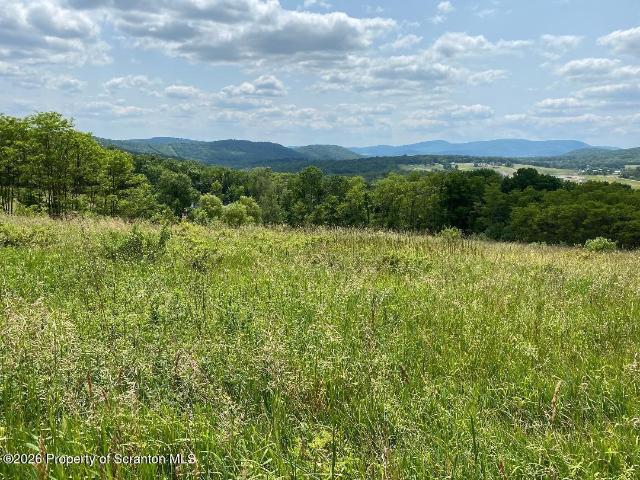 5 Middle Mountain Dr, Factoryville, PA 18419 | MLS #SC261538