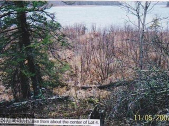 5 Moose Bay Trl, Northome, MN 56661