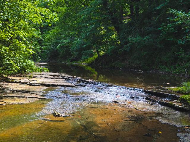 5 N Lick Creek Rd