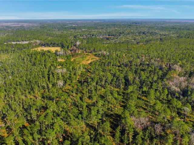 5 NE 115th Ave, Fort McCoy, FL 32134 | MLS #OM715896