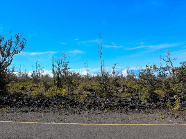 5 Ohia Dr, Ocean View, HI 96704 | MLS #710115 | Compass