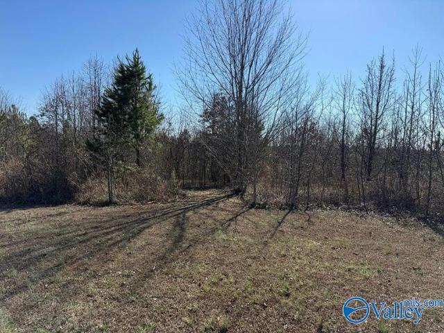 5 AC Castlehill Drive