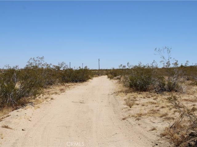 5 AC Joshua Tree