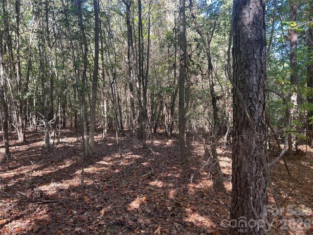 5 AC Lot 4 Ernandez Road