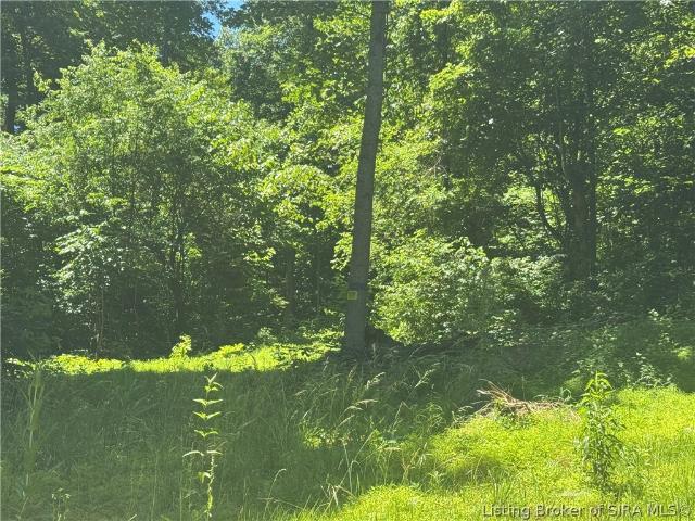 5 ± AC Squire Boone Road SW