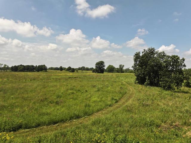 5 acres m/l N Charley Bluff Rd, Milton, WI 53563 | MLS #2022