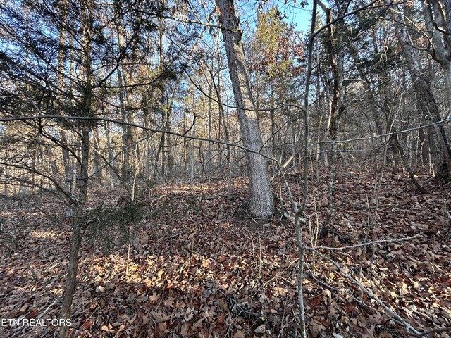 5 Acres N White Pine Rd, Talbott, TN 37877