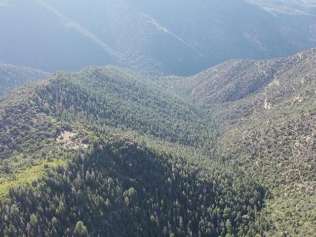 5 Acres Near Dry Lakes Rd, Brian Head, UT 84719
