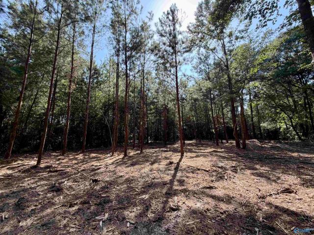 5 Acres +/ Oakland Drive