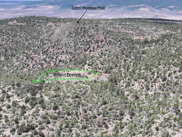 5 Acres on Cerro Montoso, Arroyo Hondo, NM 87513