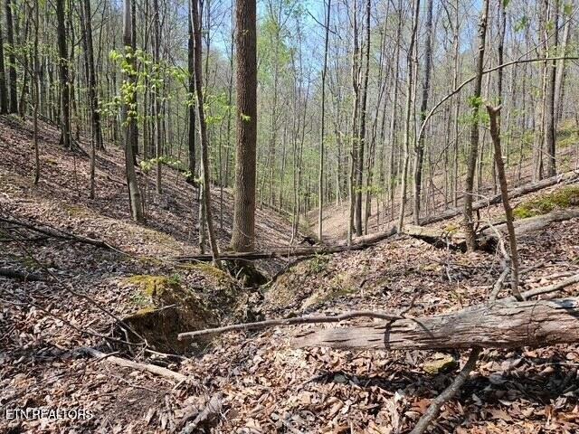 5 Acres Benton Tidwell Rd, Hilham, TN 38568