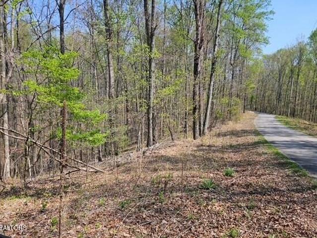 5 Acres Benton Tidwell Rd