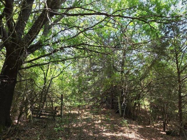 5 Acres Chestnut Ridge Road