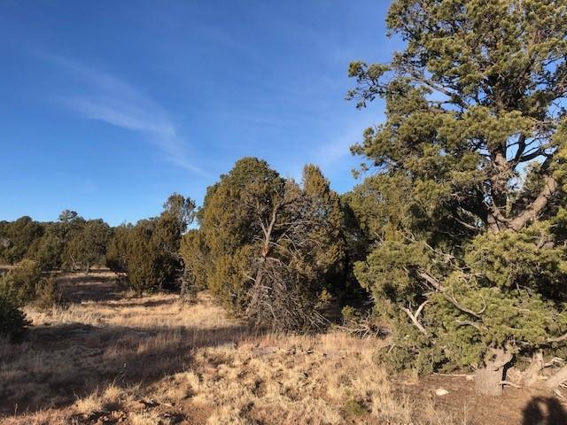 5 Acres CR A20