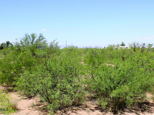5 Acres E Papago Way # 310