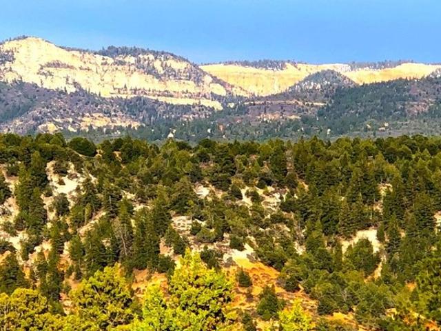 5 Acres Francis St Unit 2, Duck Creek Village, UT 84762