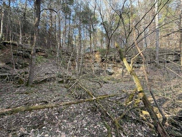5 Acres Highway 415, Albany, KY 42602