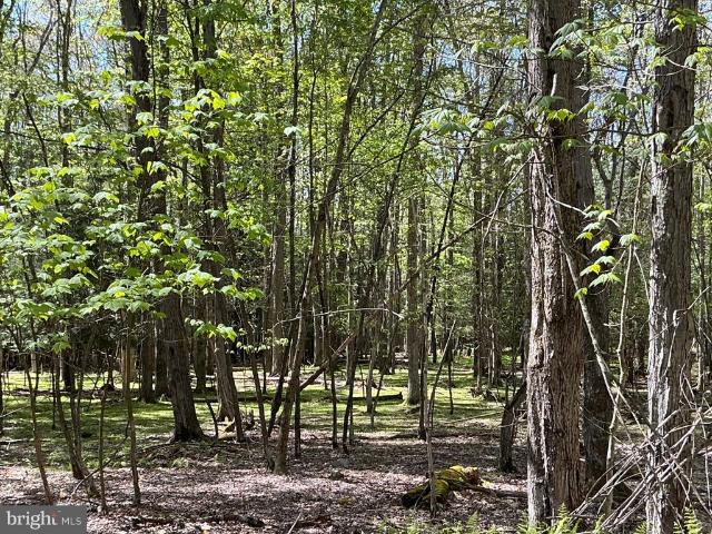 5 Acres Lake Shore Drive