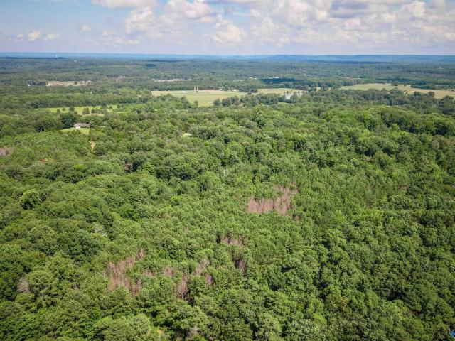 5 Acres Part A Willow Bend Road
