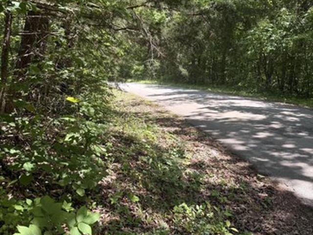 5 Acres Pine Tree Cir, Nancy, KY 42544