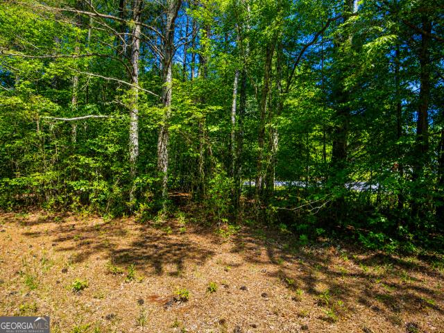 5 ACRES Stanfield Drive