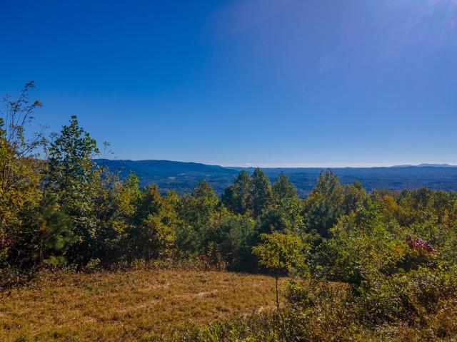 5 Acres Spring Pond Trl