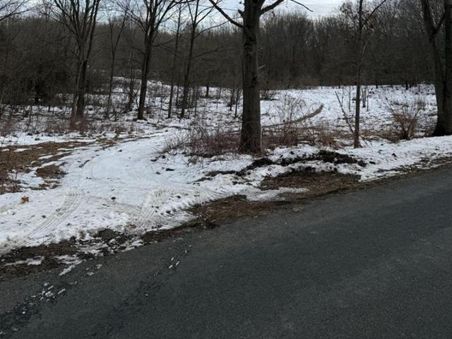 5 Acres 3rd St, Kalamazoo, MI 49009