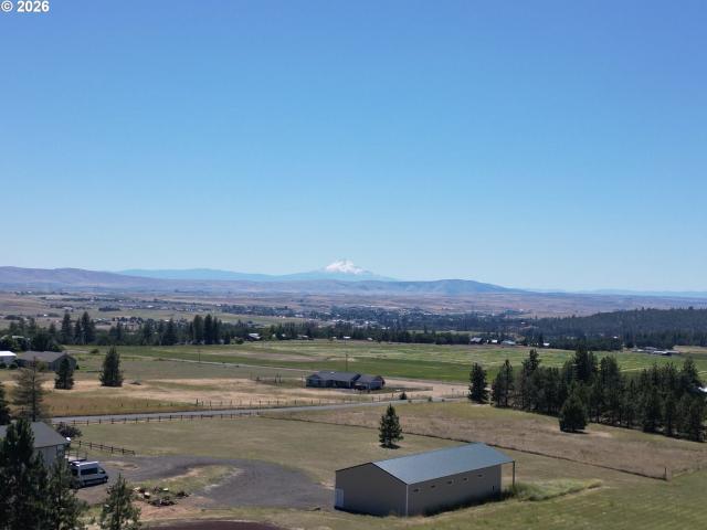 5 Adams LOOP