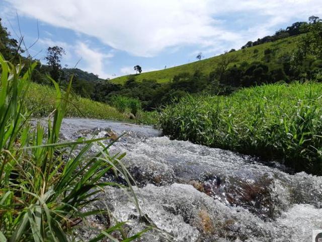 5 Alqueires em Monteiro