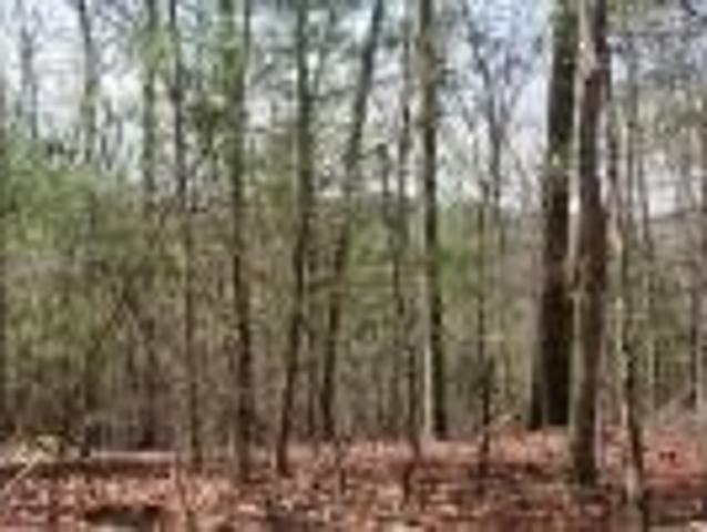 5 and 6 Mountain Wood Drive 6 Lots 4 & 5, Murphy, NC 28906