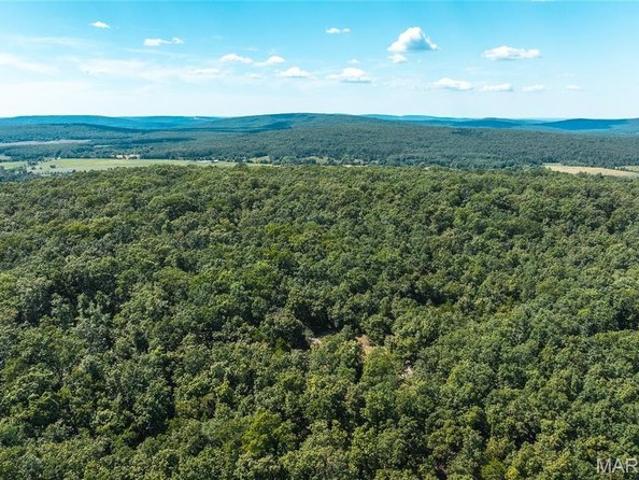 5 Buck Mountain Rd, Doe Run, MO 63637