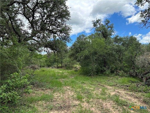 5 Burlin Ln, Meyersville, TX 77974