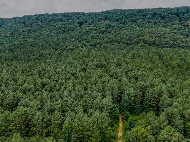 5 Back Valley Rd, Lyerly, GA 30730 | MLS #10708 | Compass
