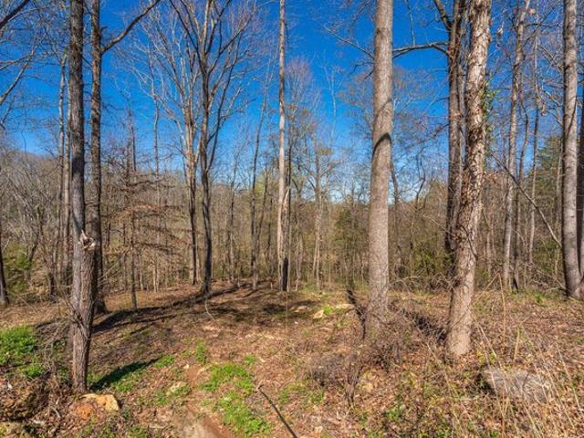 5 Bagwell Pl, Spartanburg, SC 29302