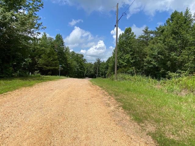 5 bald eagle dr
