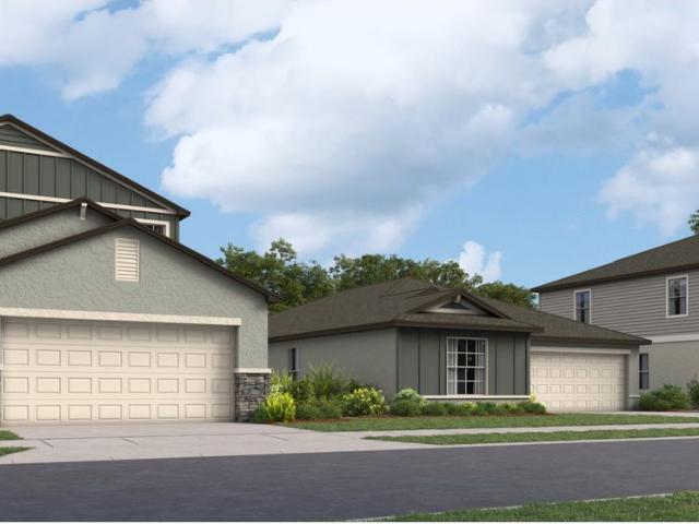 5 Bed, 4 Bath New Home plan in Zephyrhills, FL
