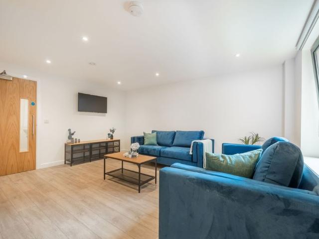 5 Bed Flat, Anglo Works, S1