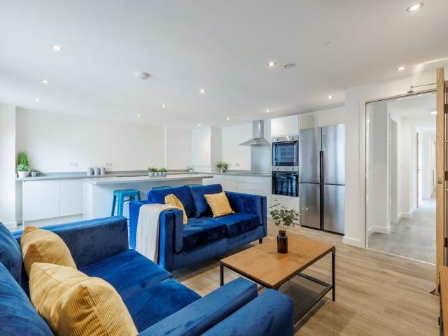 5 Bed Flat, Anglo Works, S1