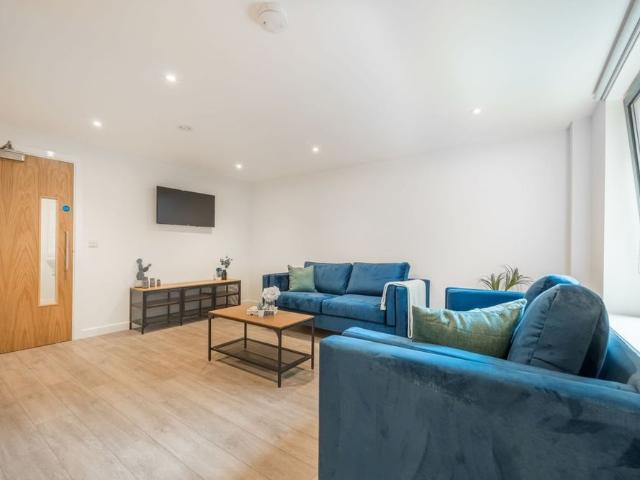 5 Bed Flat, Anglo Works, S1
