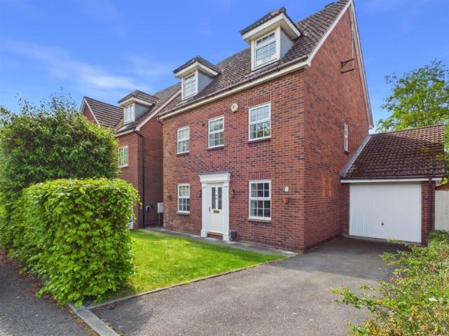 5 BED House To rent